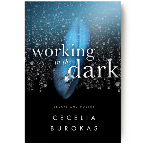 Professional Book Cover Design - My Custom Book Cover — Beautiful ...
